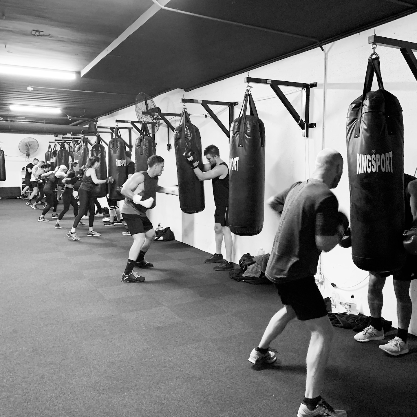 Looking to lose some of those silly season calories? Check out some of ...